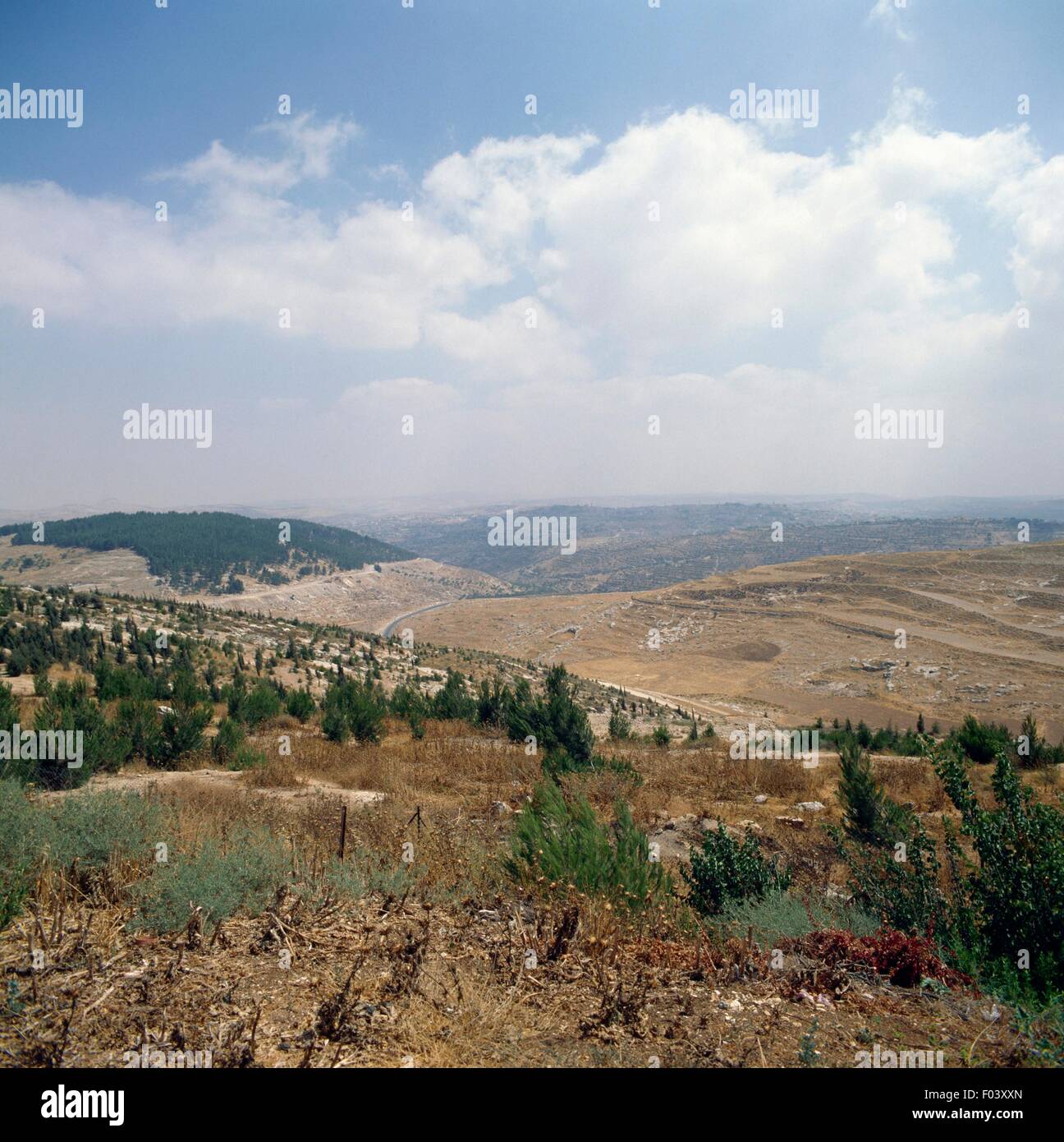 Landscape near Kibbutz Ramat Rahel, Israel Stock Photo - Alamy