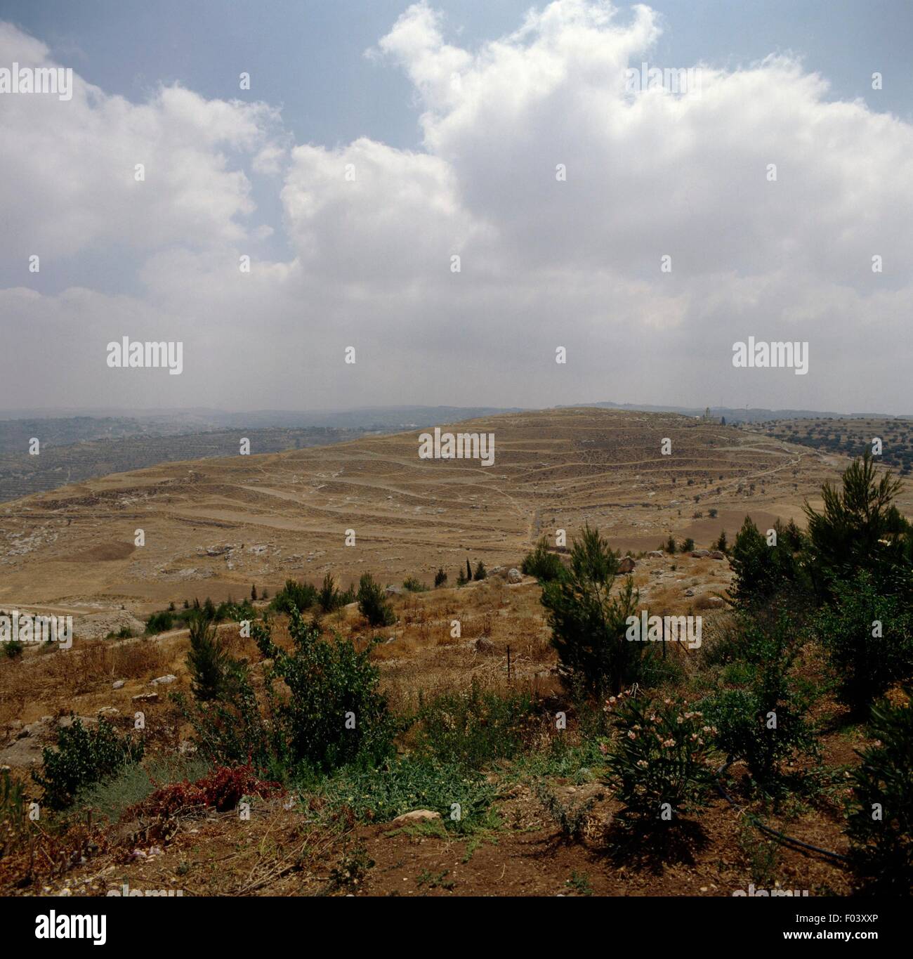 Rahel hi-res stock photography and images - Alamy