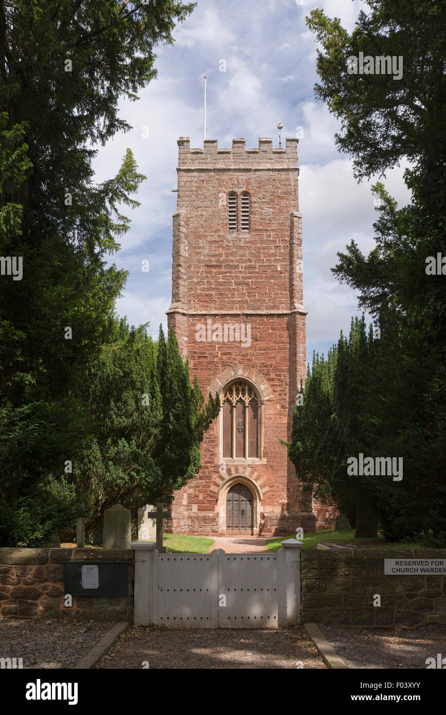Powderham church hi-res stock photography and images - Alamy