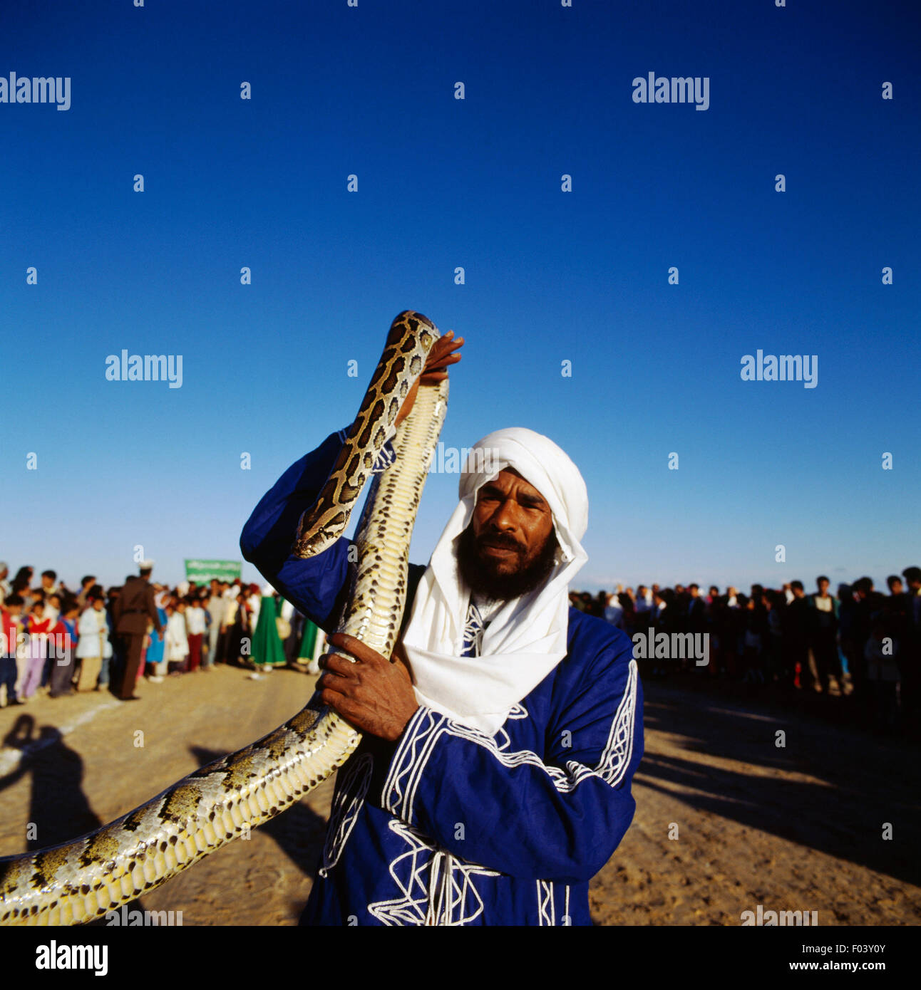 Man holding a snake, Berber festival, Douz, Tunisia Stock Photo - Alamy