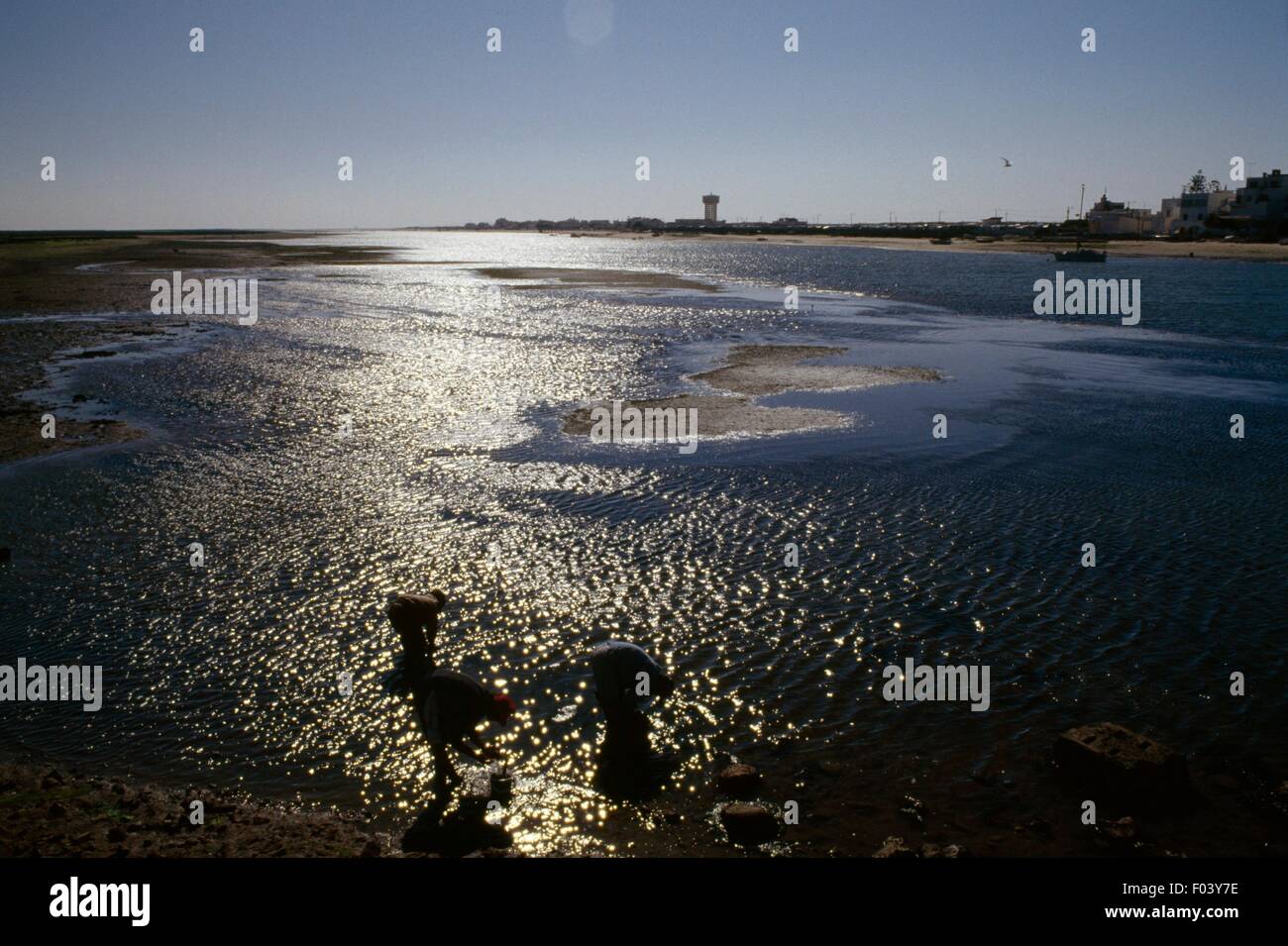 The lagoon near the town of Faro, Algarve, Portugal Stock Photo - Alamy