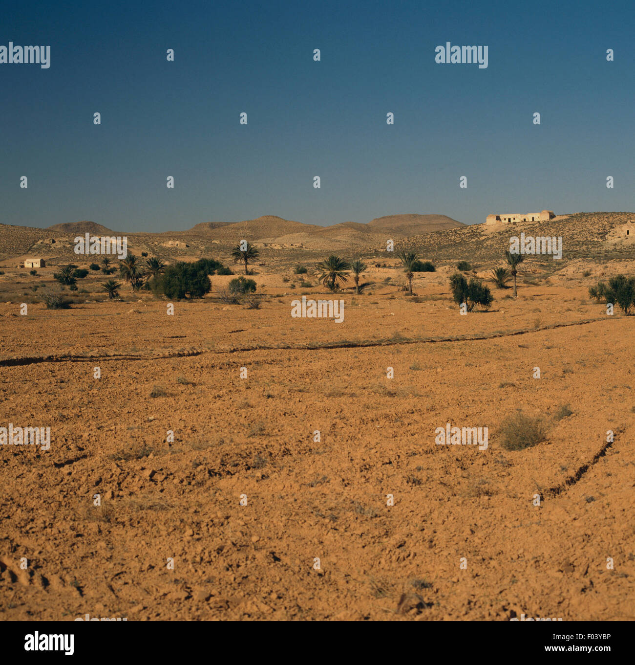 Arid landscape near the Chott el-Djerid, salt lake, Tunisia Stock Photo ...