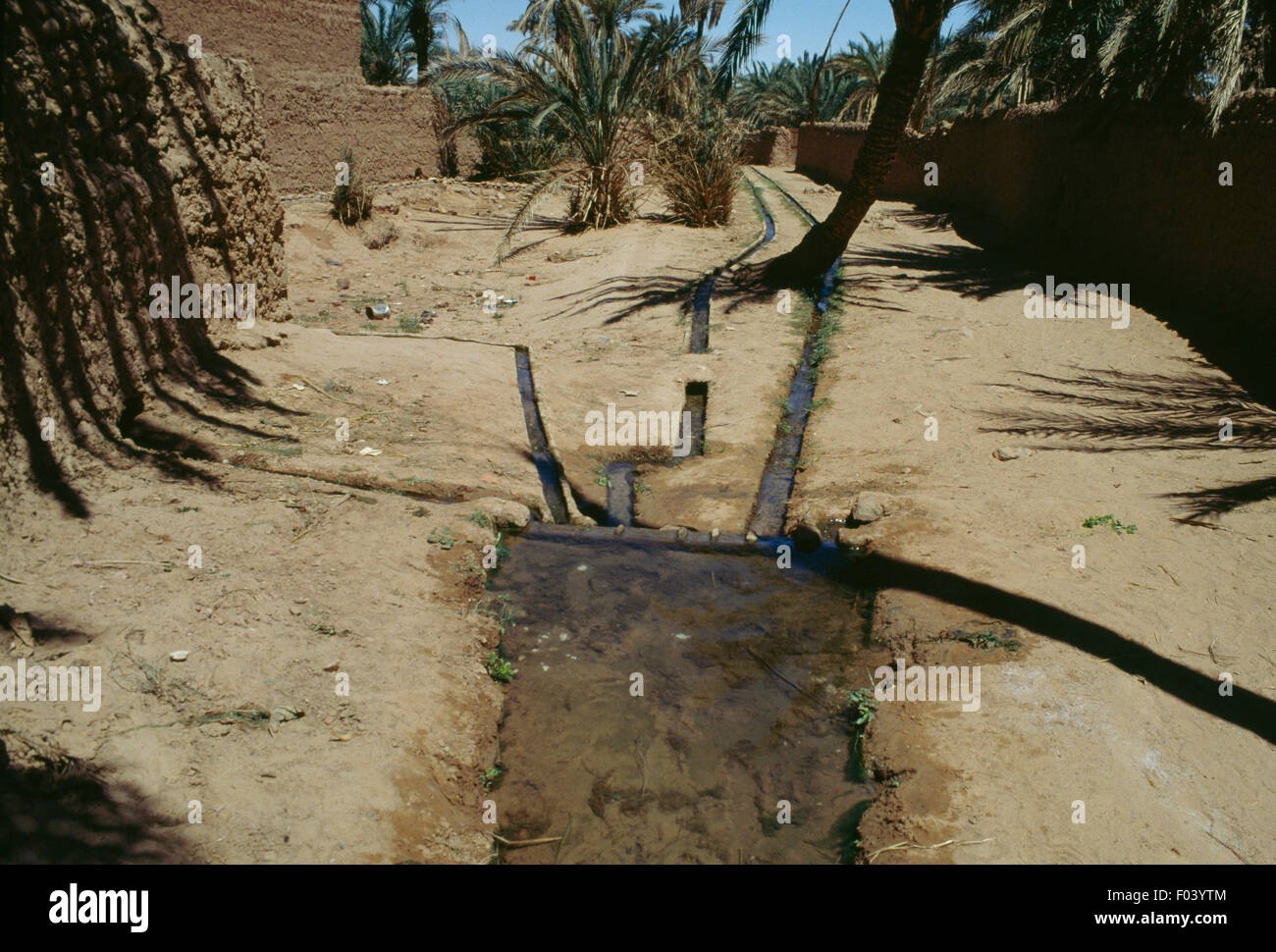 Algeria Agriculture Stock Photos & Algeria Agriculture Stock Images - Alamy