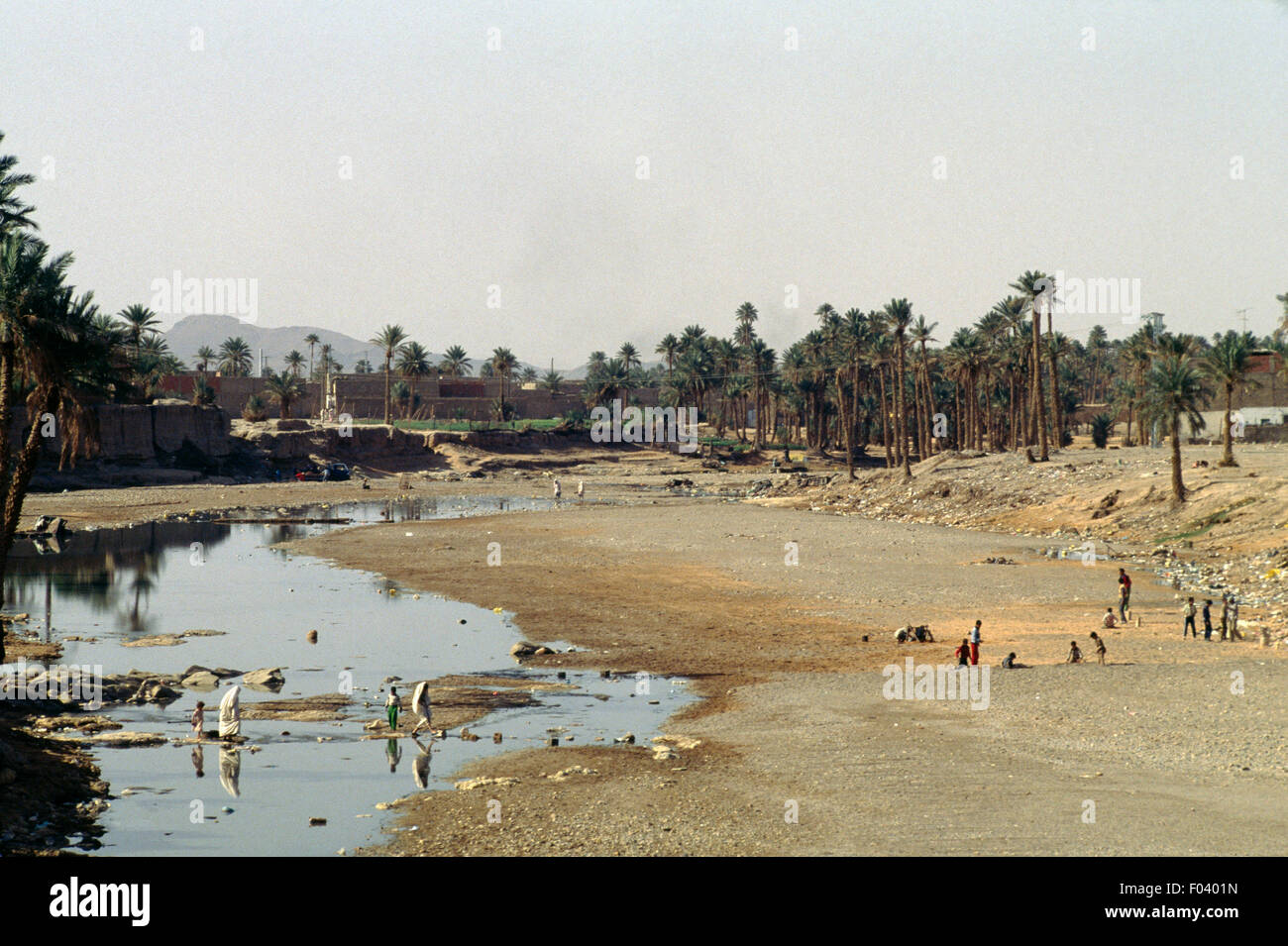 Palm grove in a wadi, Bechar, Sahara Desert, Algeria Stock Photo - Alamy