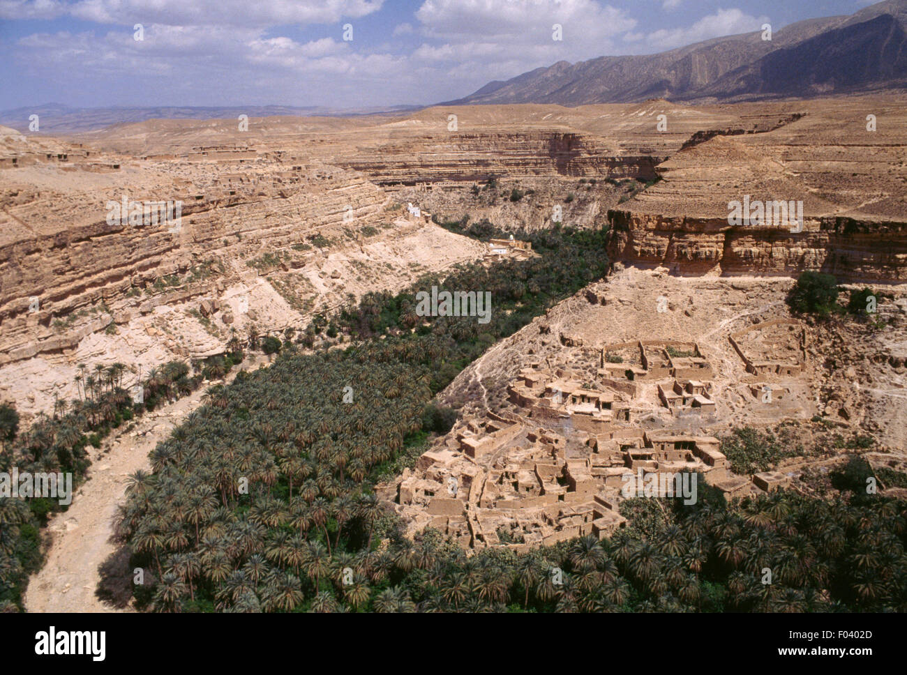 Palm grove and abandoned village, Rhoufi or Ghoufi Gorge, Sahara Desert ...