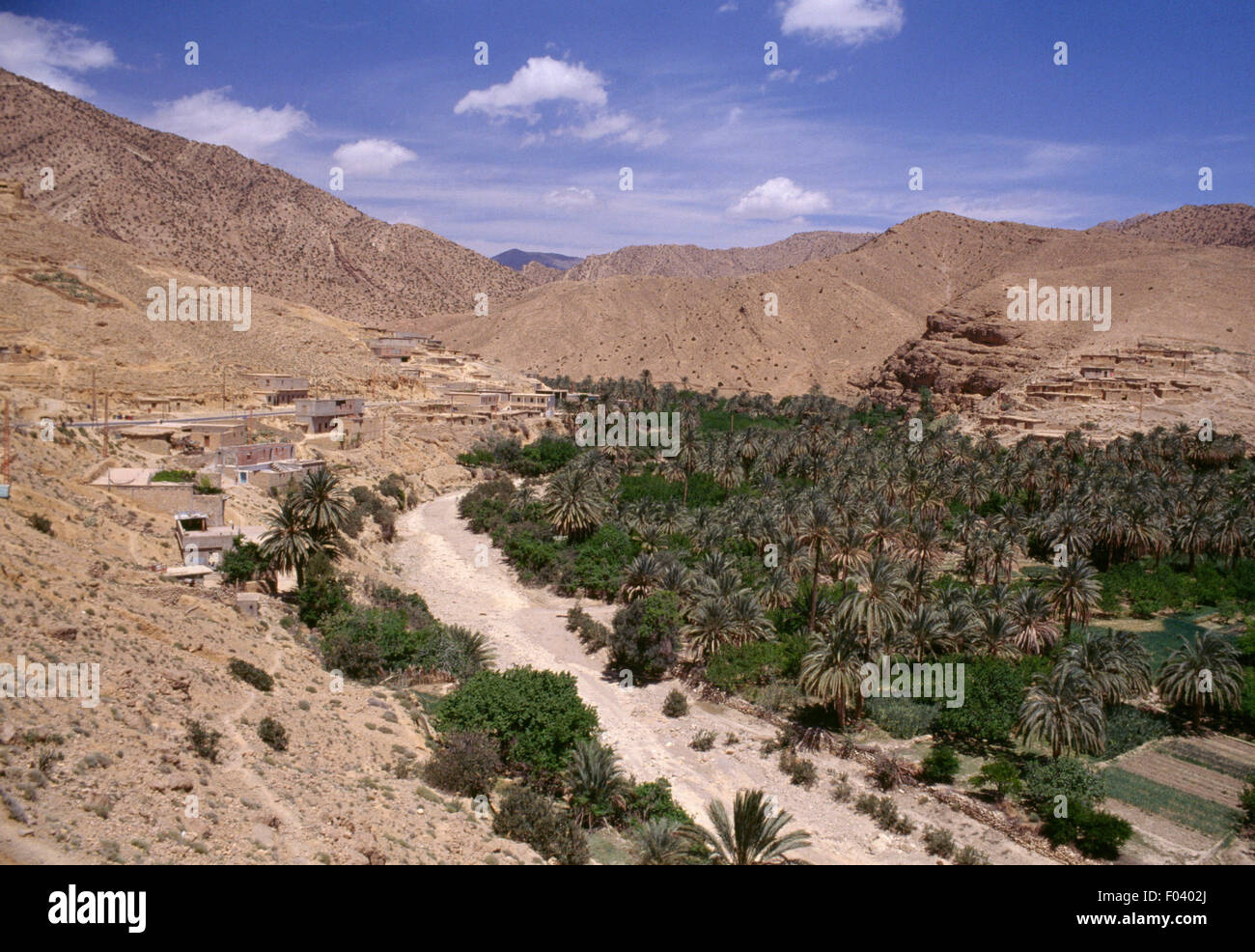 Palm grove, Rhoufi or Ghoufi Gorge, Sahara Desert, Algeria Stock Photo ...