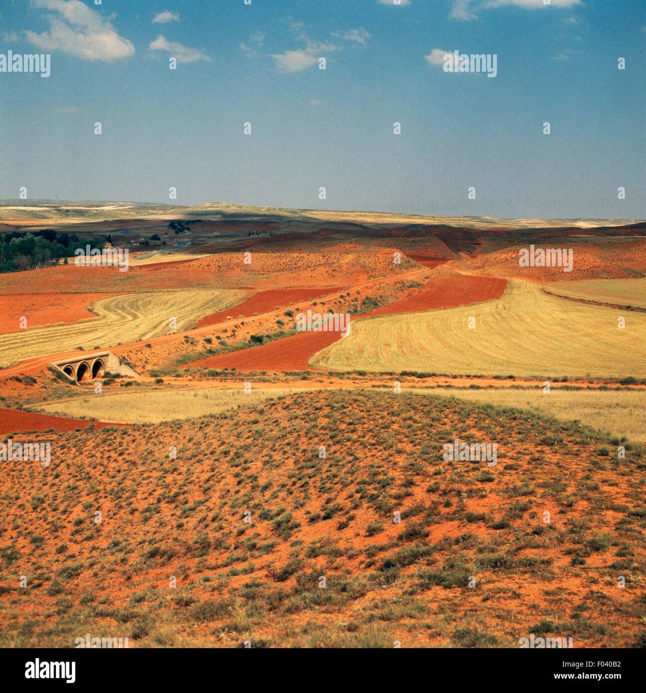 Agricultural landscape with cultivated fields in the Aragon countryside ...