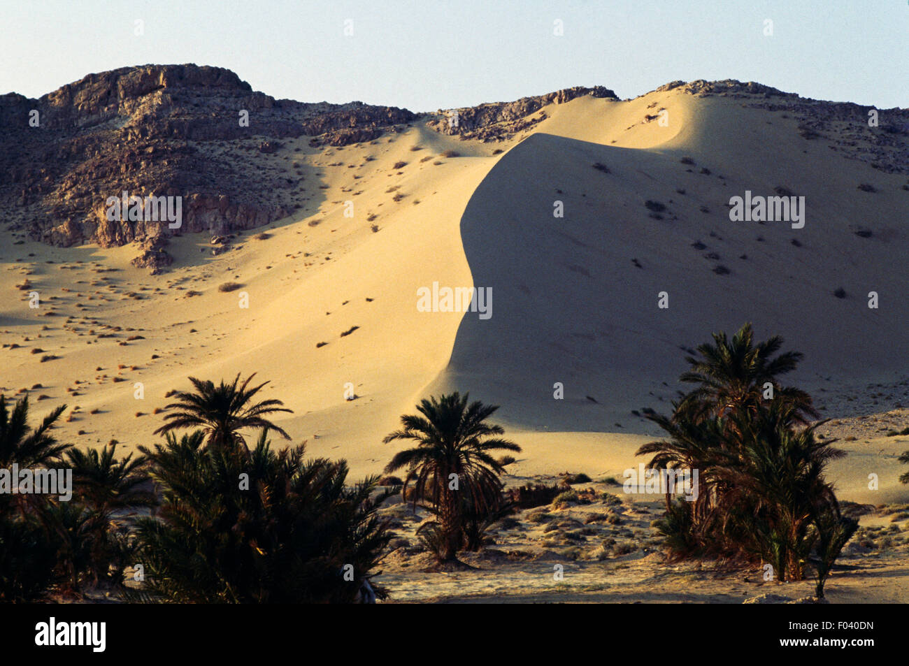Bou Saada Stock Photos & Bou Saada Stock Images - Alamy