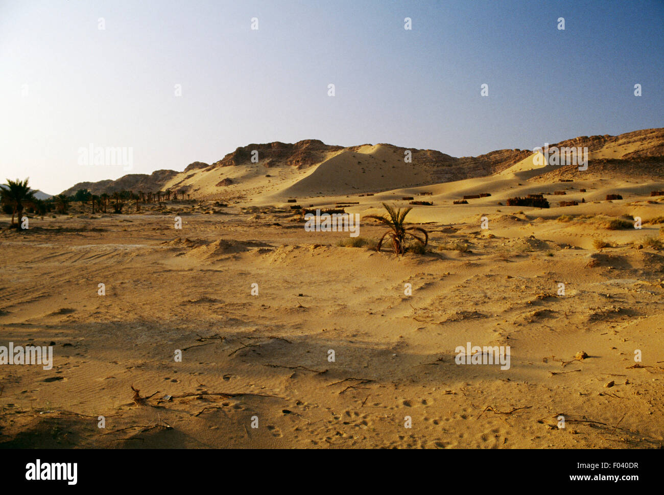 Bou Saada Stock Photos & Bou Saada Stock Images - Alamy