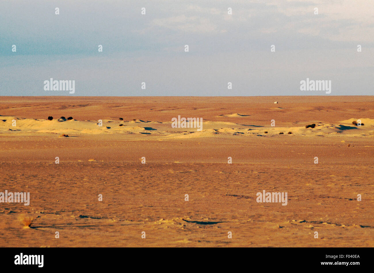 Touggourt High Resolution Stock Photography and Images - Alamy