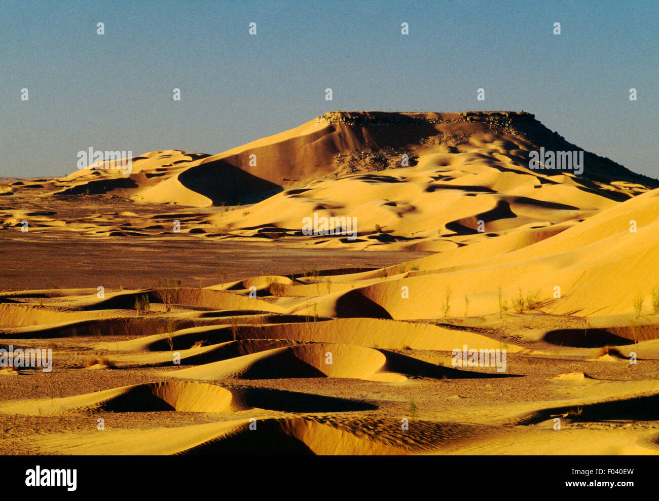 Landscape near Al-Mania (El-Golea) oasis, Sahara Desert, Algeria Stock ...