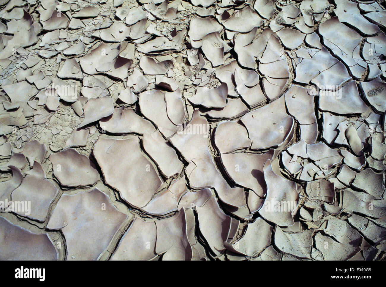 Wadi, dry river bed, near Beni Abbes, detail, Sahara Desert, Algeria ...
