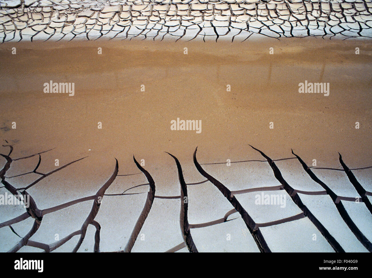 Wadi, dry river bed, near Beni Abbes, detail, Sahara Desert, Algeria ...