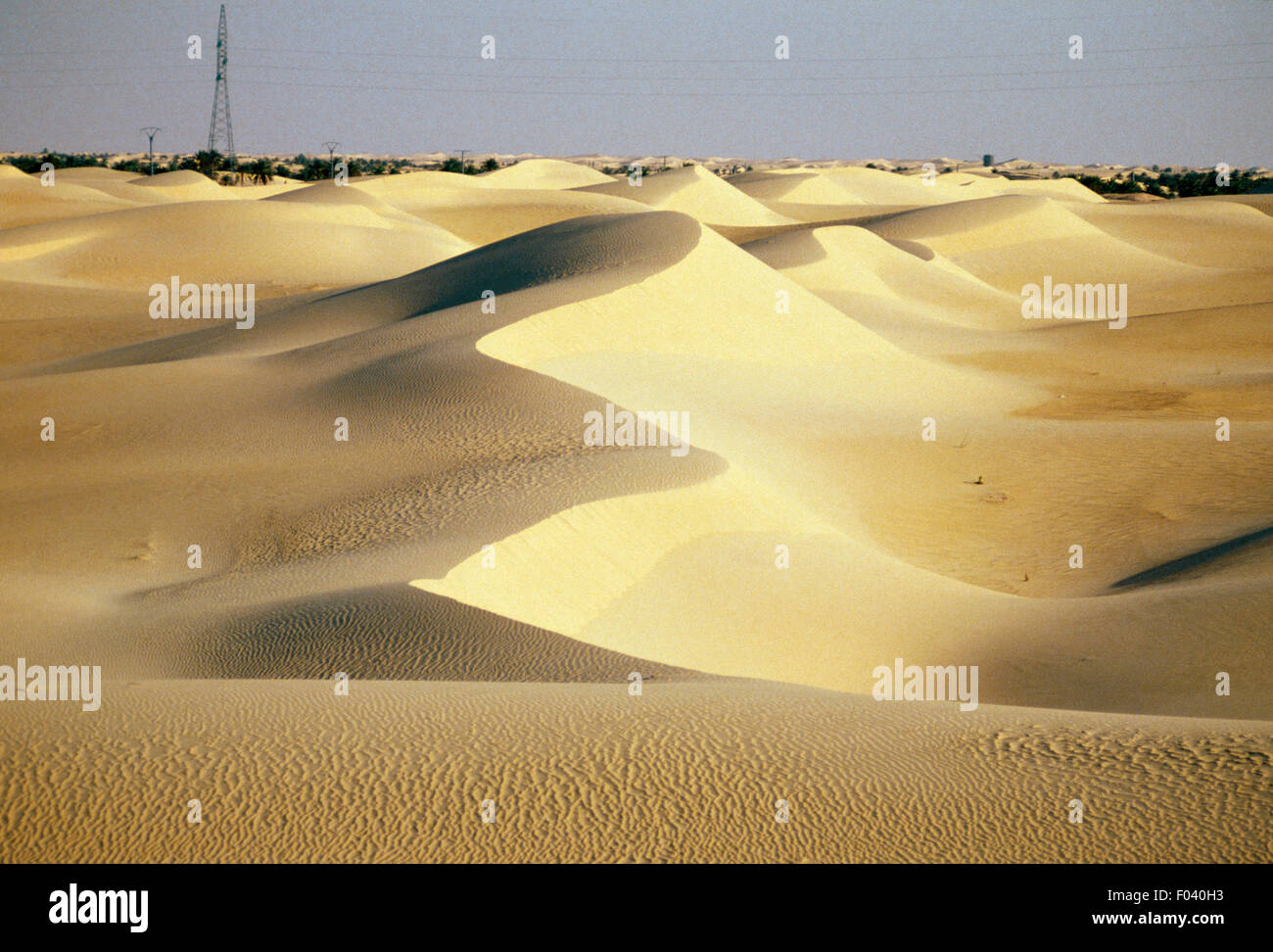 Sand dunes, near El Oued, Sahara Desert, Algeria Stock Photo - Alamy