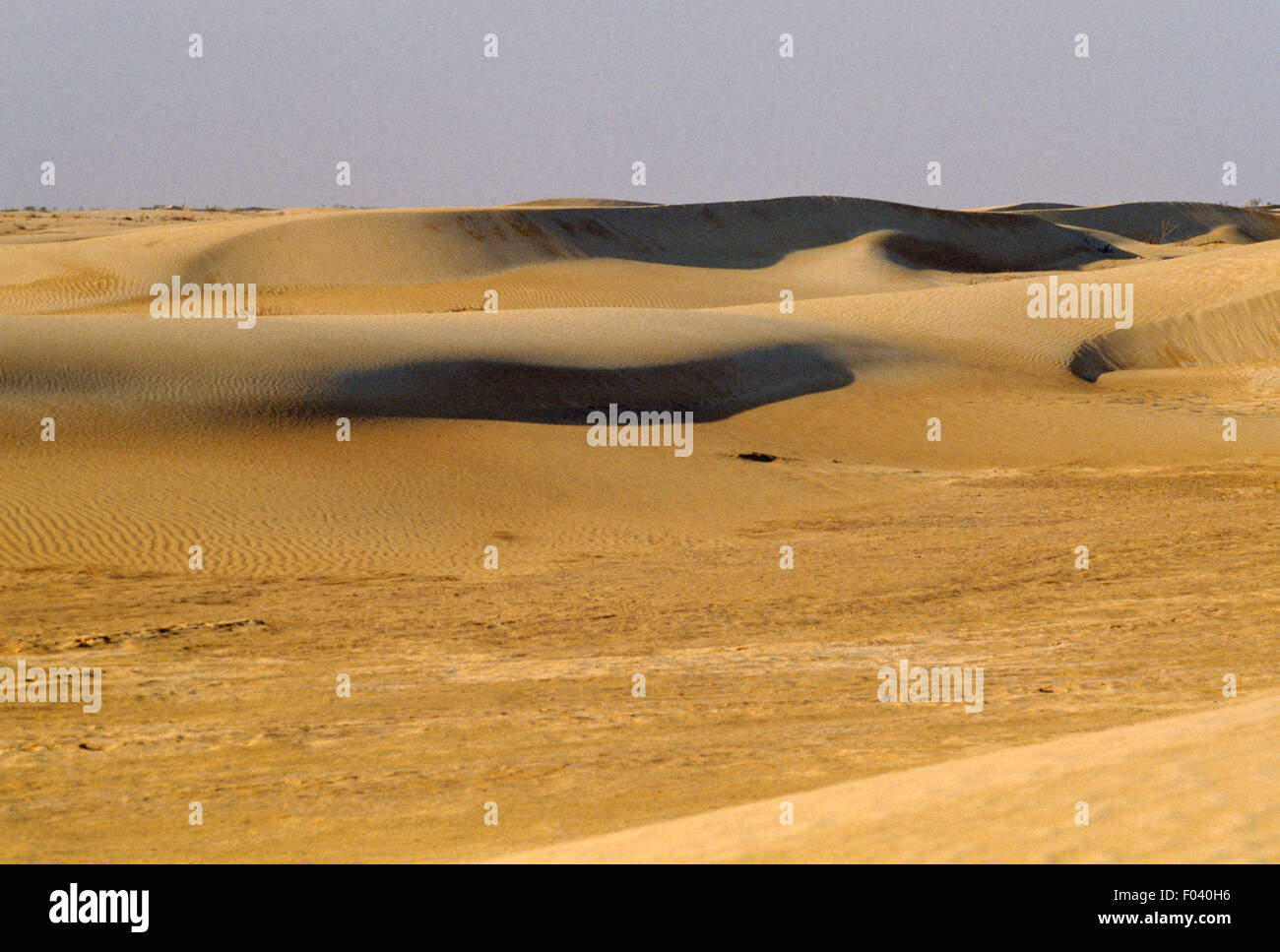 Sand dunes, near El Oued, Sahara Desert, Algeria Stock Photo - Alamy