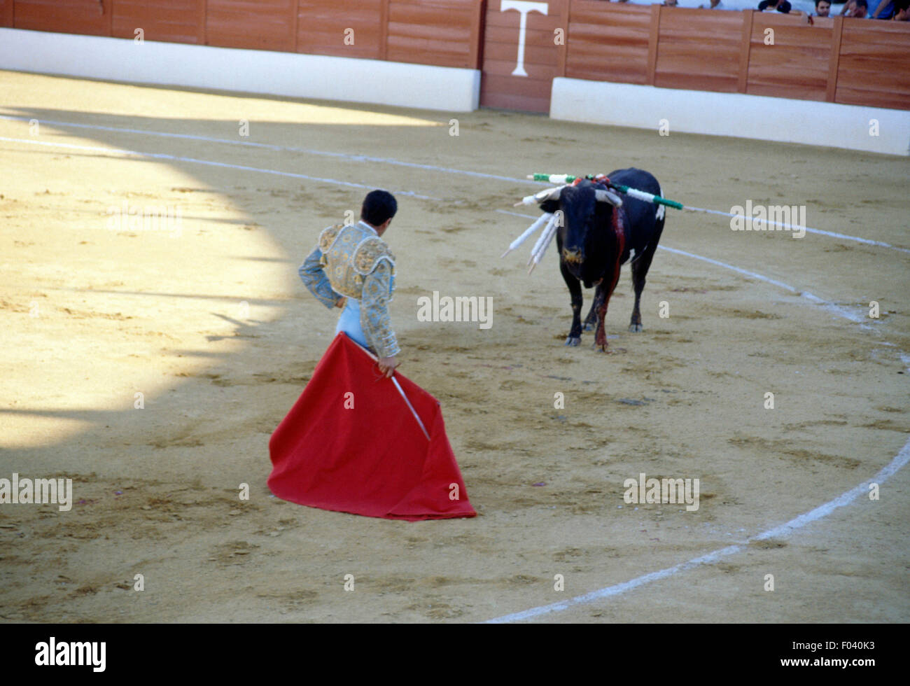 Bullfighter in action during a bullfight using the muleta (cape with ...
