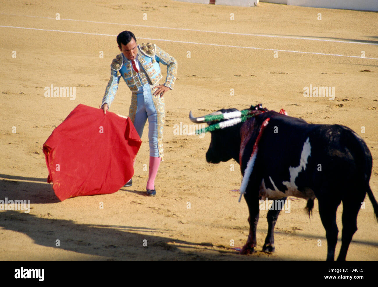 Bullfighter in action during a bullfight using the muleta (cape with ...