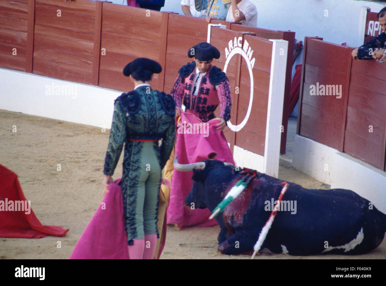 Banderilleros (flagmen) beside the dying bull, Aracena, Andalusia ...