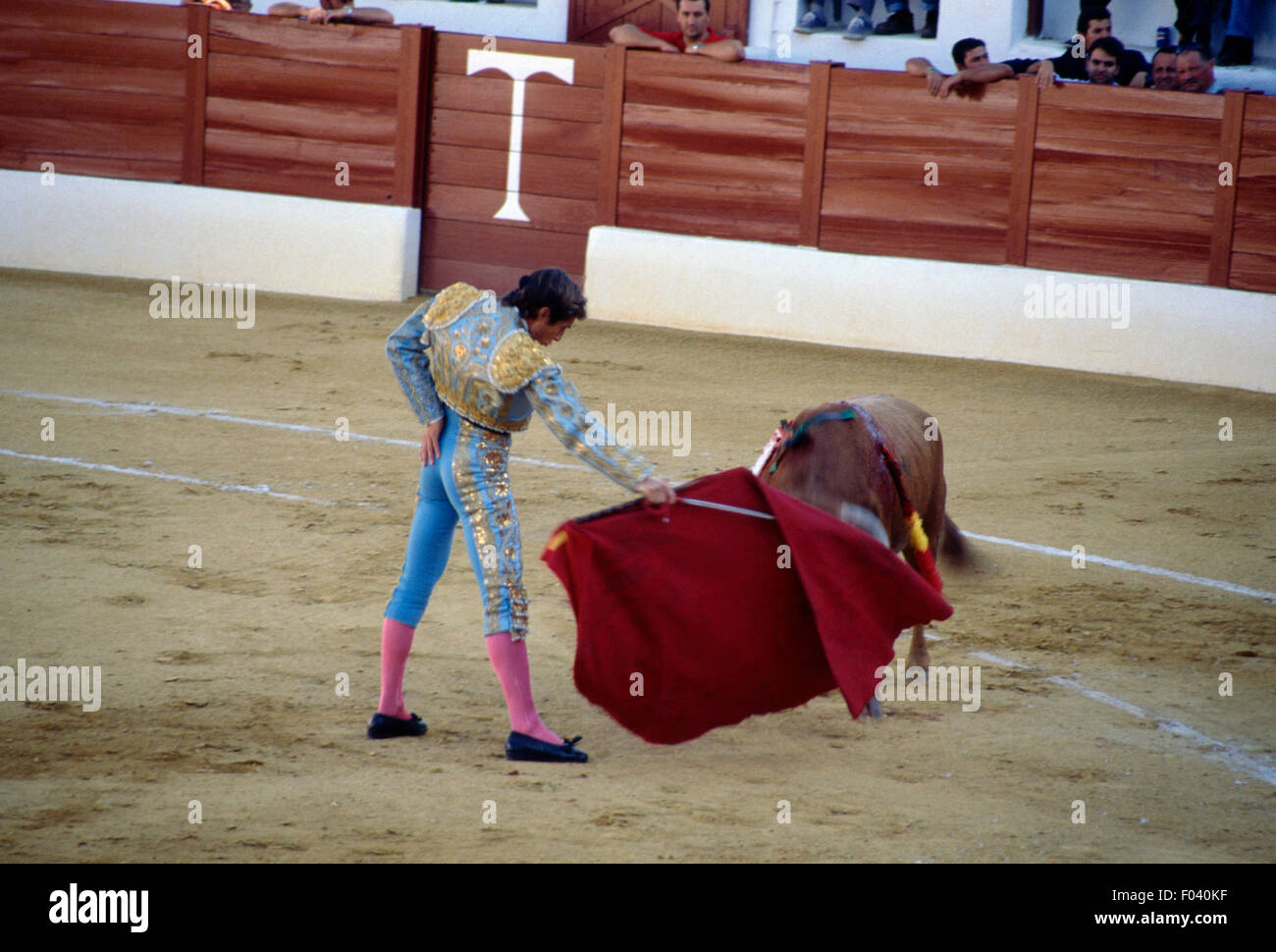 Bullfighter in action during a bullfight using the muleta (cape with ...