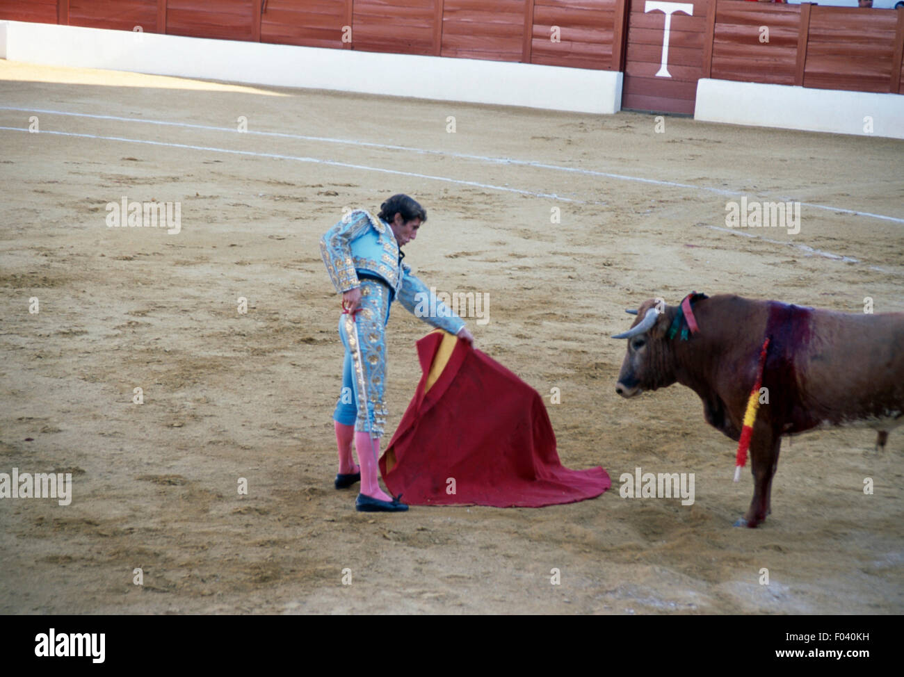 Bullfighter in action during a bullfight using the muleta (cape with ...