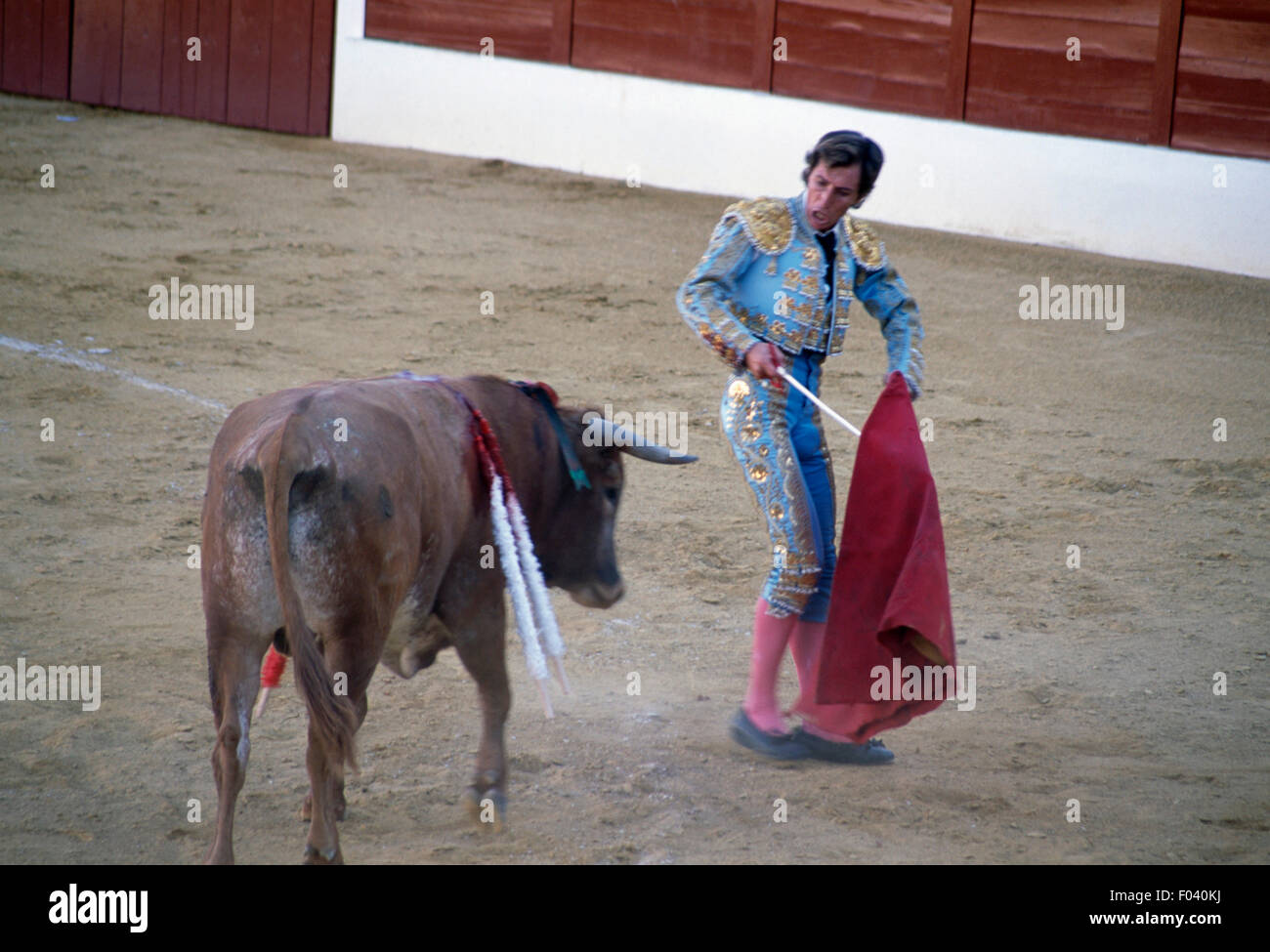 The bullfighter facing the bull with the sword (estoque), Aracena ...