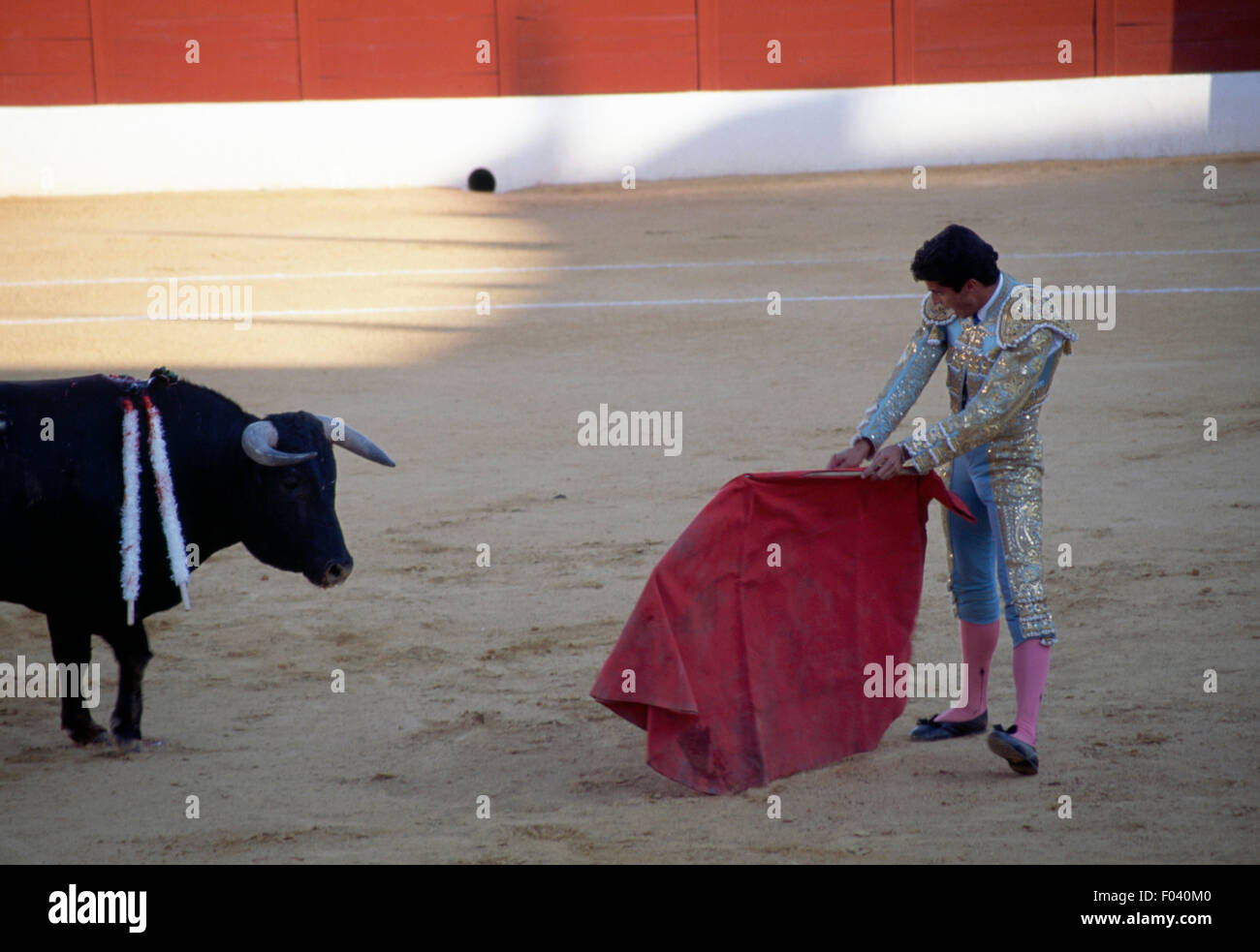 Bullfighter in action during a bullfight using the muleta (cape with ...