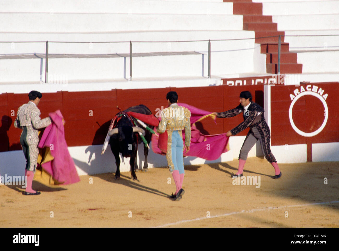 Bullfighter in action during a bullfight using the muleta (cape with ...