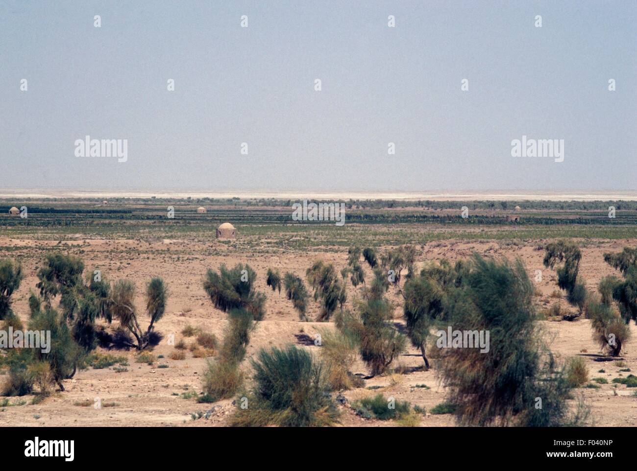 Desert landscape with vegetation, Khorasan, Iran Stock Photo - Alamy
