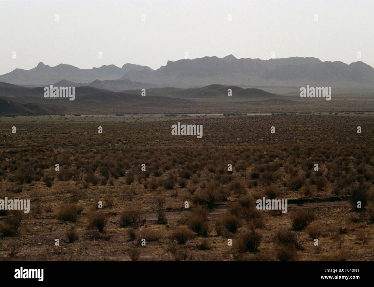Desert landscape with vegetation, Khorasan, Iran Stock Photo - Alamy