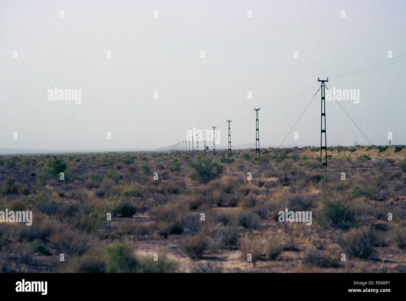 Bushes, Dasht-e Kavir or the Great Salt Desert, Iran Stock Photo - Alamy
