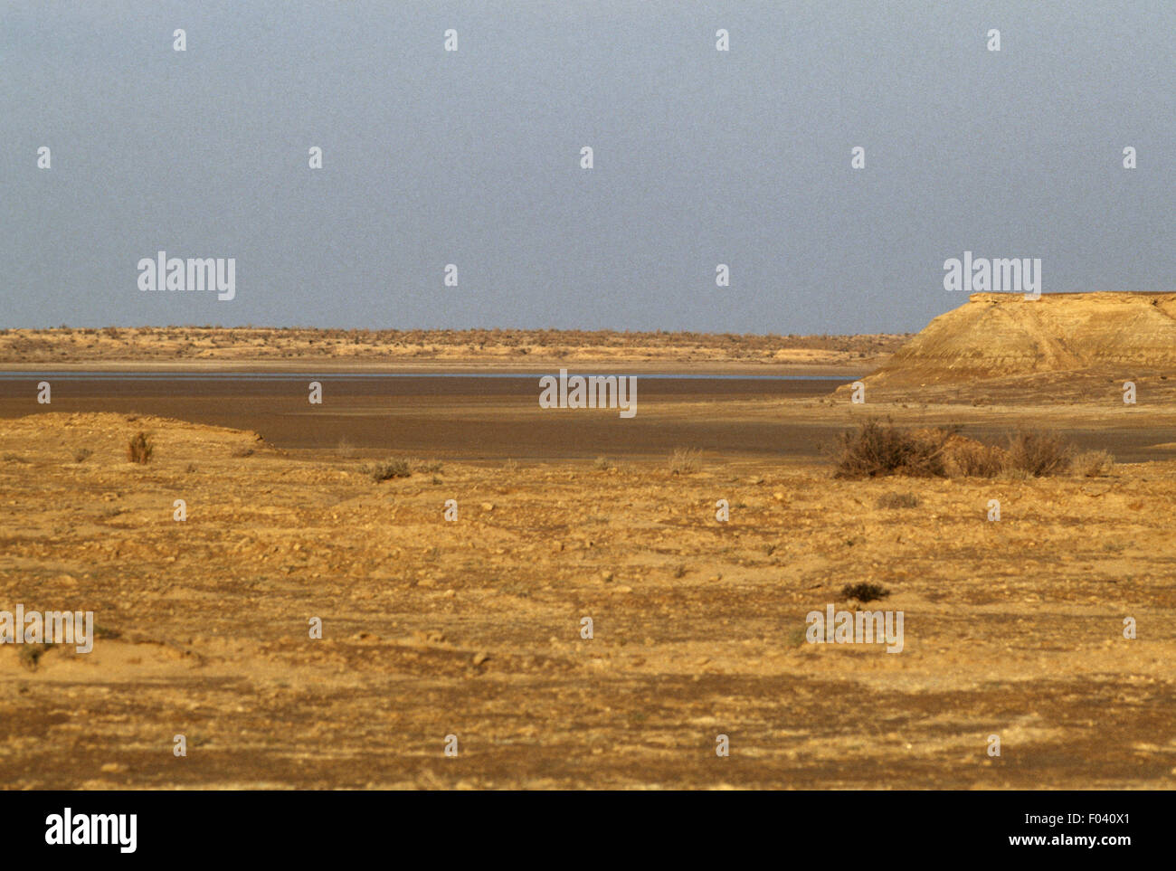 Chott Algeria High Resolution Stock Photography and Images - Alamy