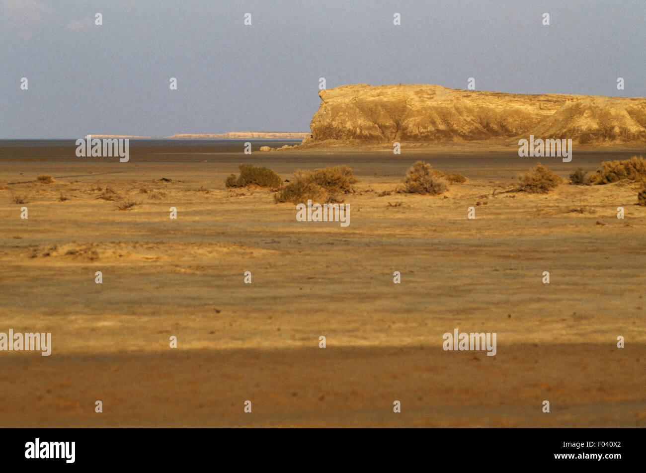 Chott Melrhir, salt lake, Algeria Stock Photo - Alamy