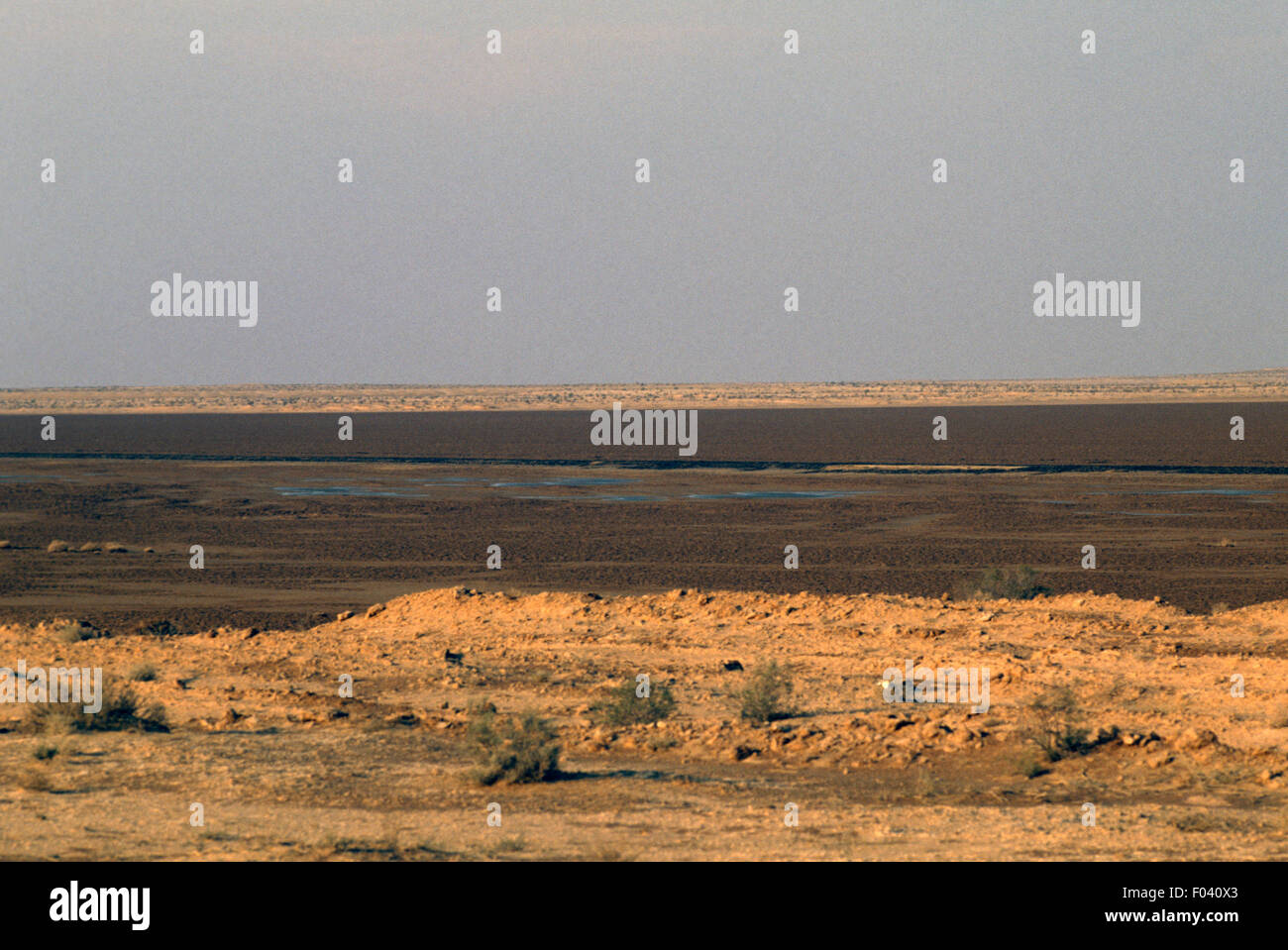 Chott Melrhir, salt lake, Algeria Stock Photo - Alamy