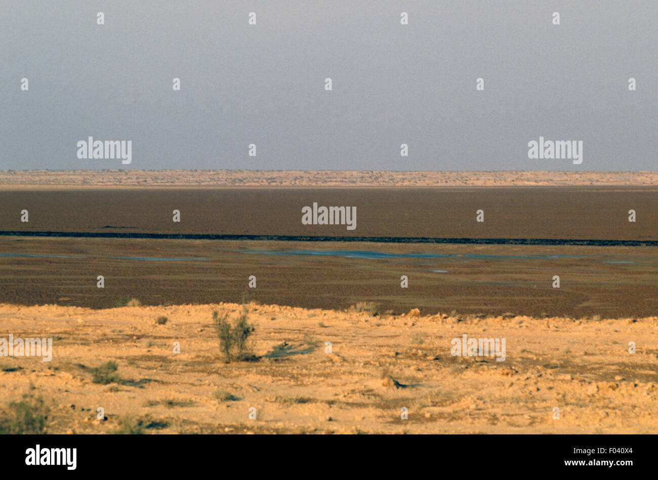 Chott Melrhir, salt lake, Algeria Stock Photo - Alamy