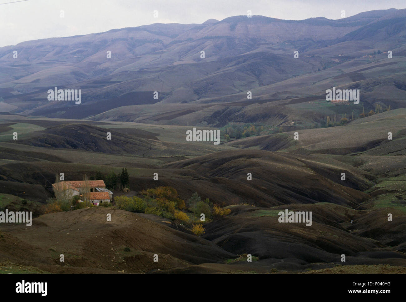 Algeria Agriculture High Resolution Stock Photography and Images - Alamy