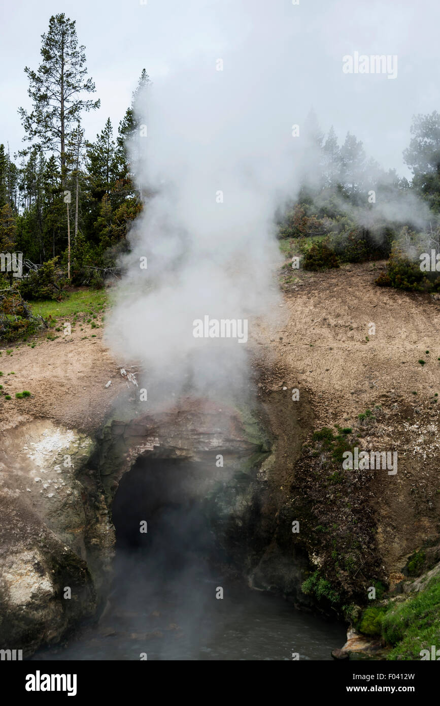 Detail of Dragon's Mouth Springs, Yellowstone National Park, Wyoming ...