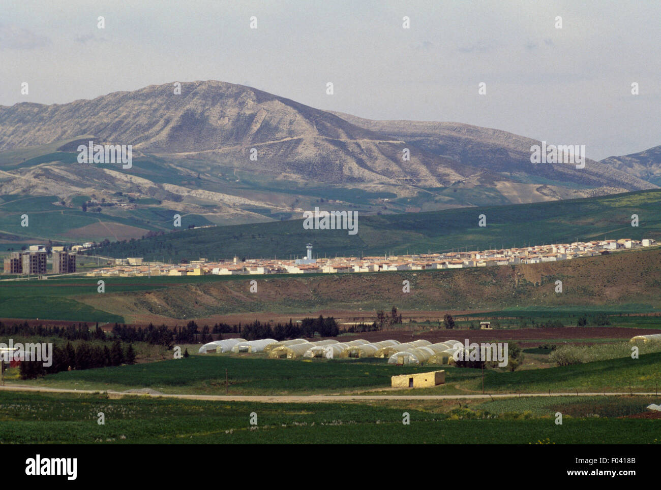 Algeria agriculture hi-res stock photography and images - Alamy