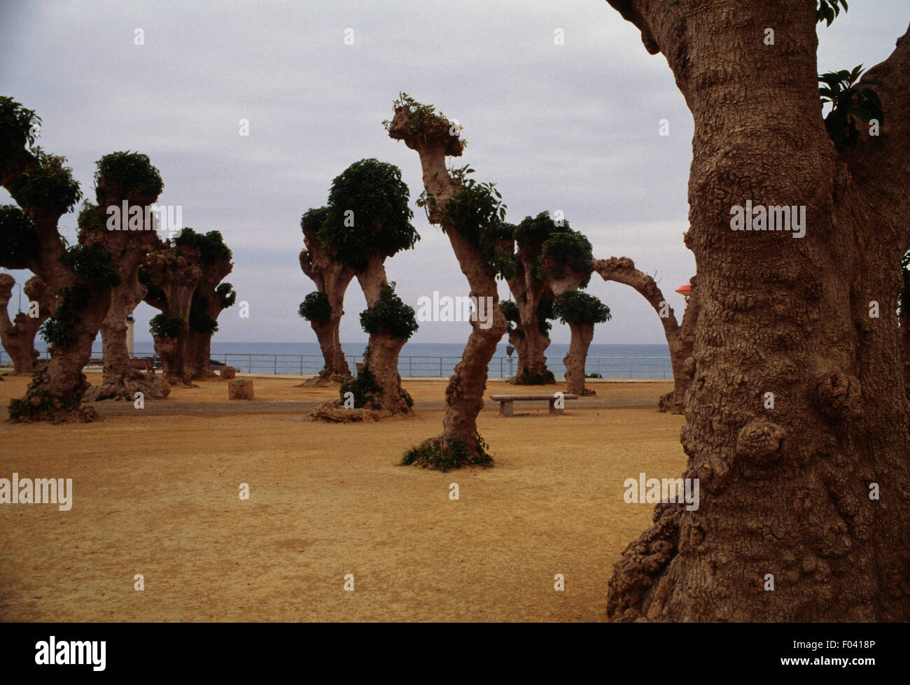 Cherchell High Resolution Stock Photography and Images - Alamy