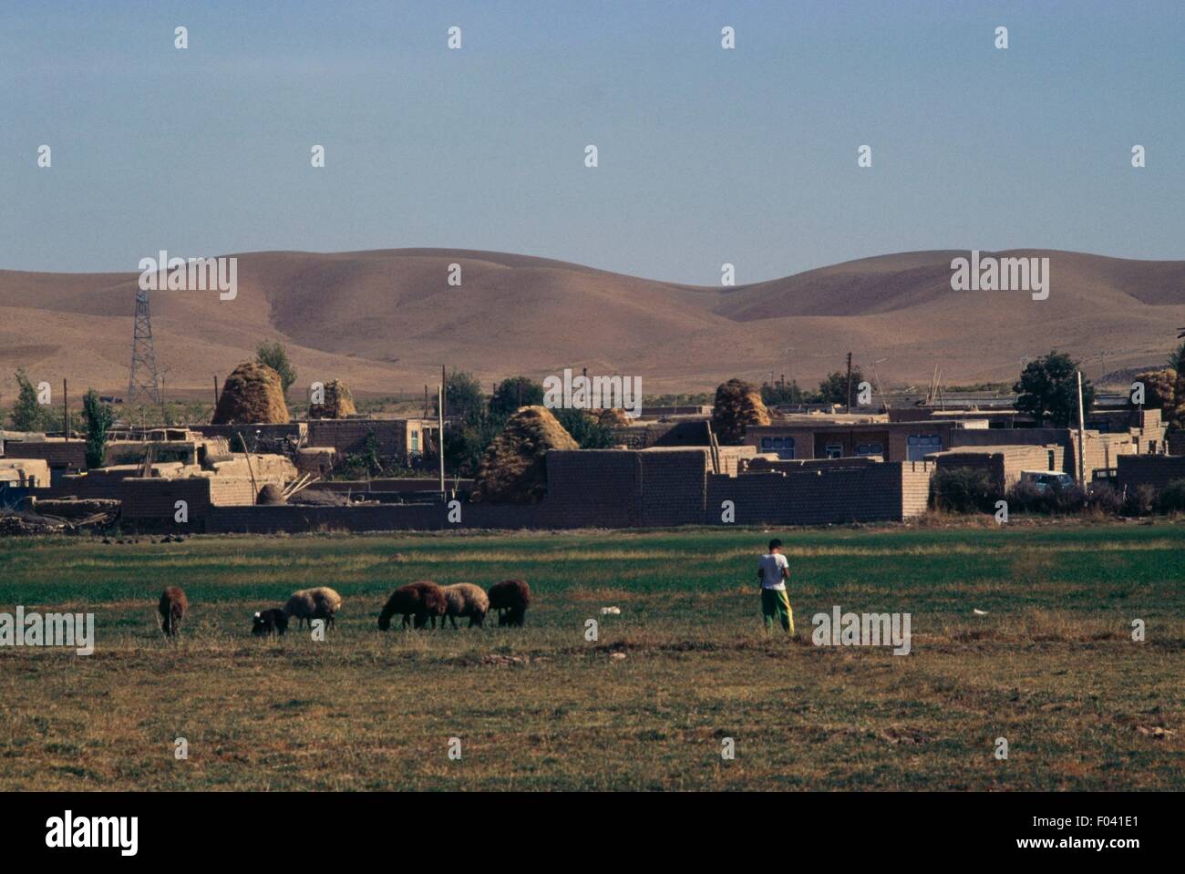 Iranian farm hi-res stock photography and images - Alamy