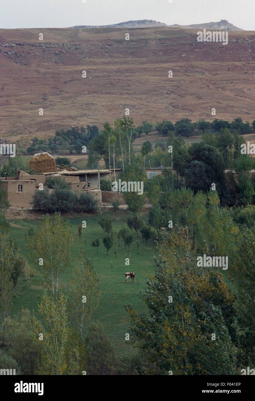 Farm in an oasis, Iranian Azerbaijan, Iran Stock Photo - Alamy