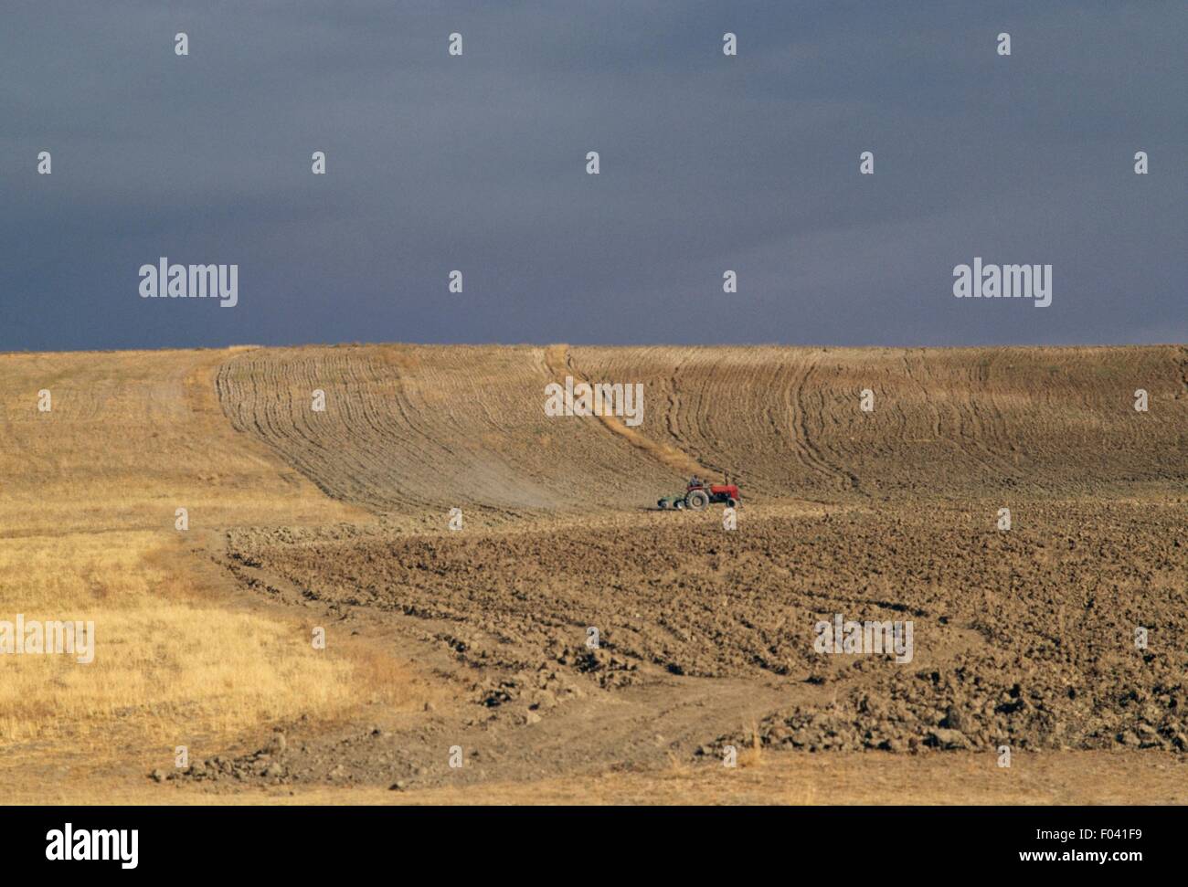 Tractor at work on a field, Iranian Azerbaijan, Iran Stock Photo - Alamy