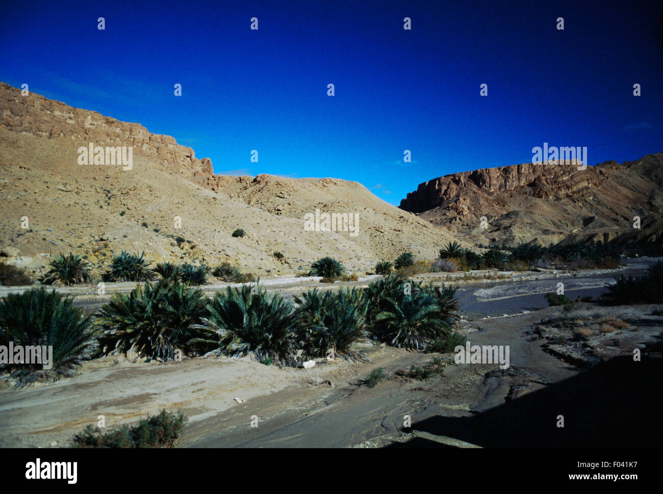 Metlaoui hi-res stock photography and images - Alamy