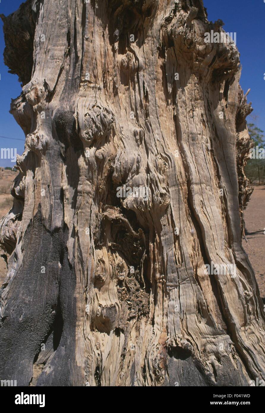 Buraimi border hi-res stock photography and images - Alamy