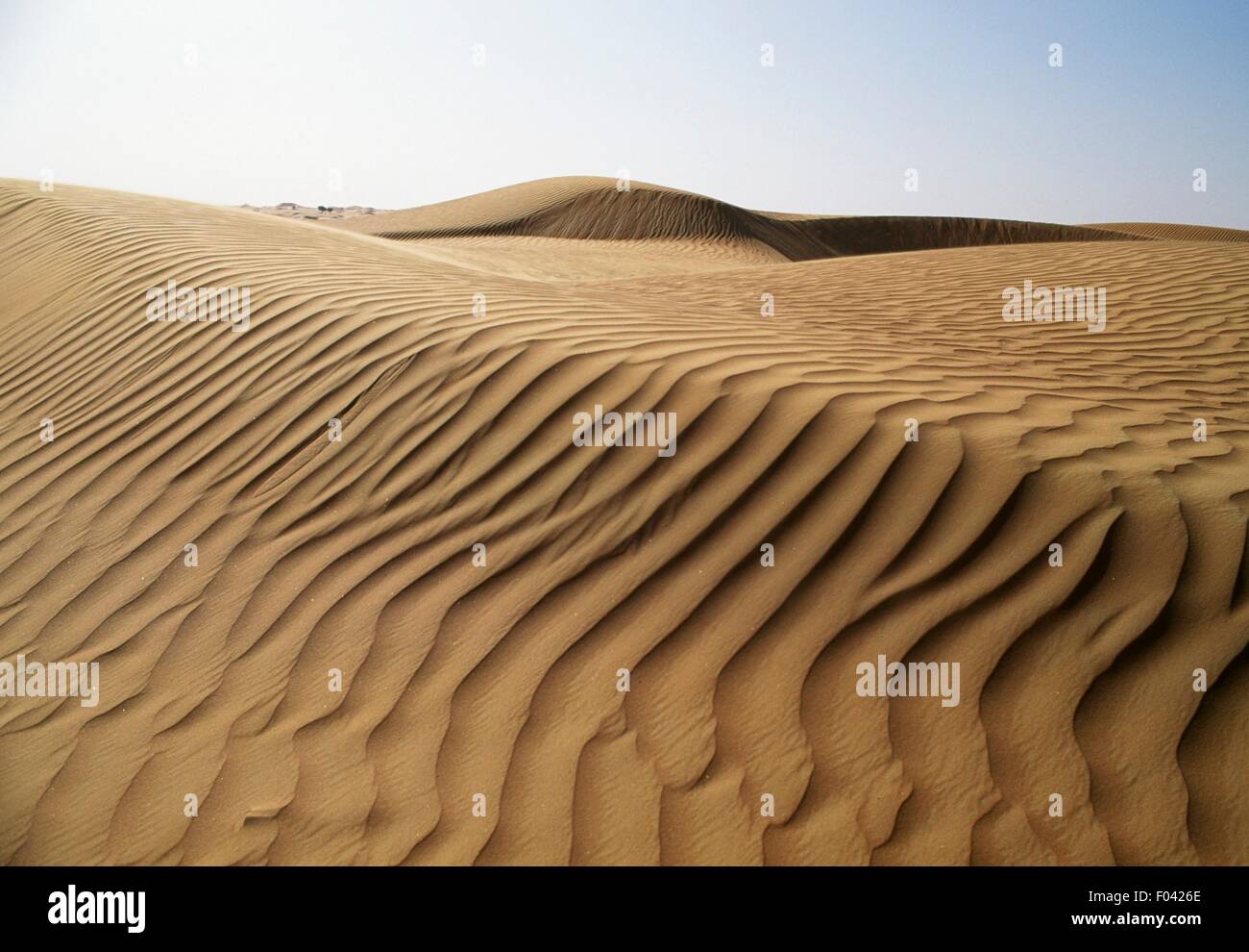 Sand desert with dunes, Arabian Desert, United Arab Emirates Stock ...