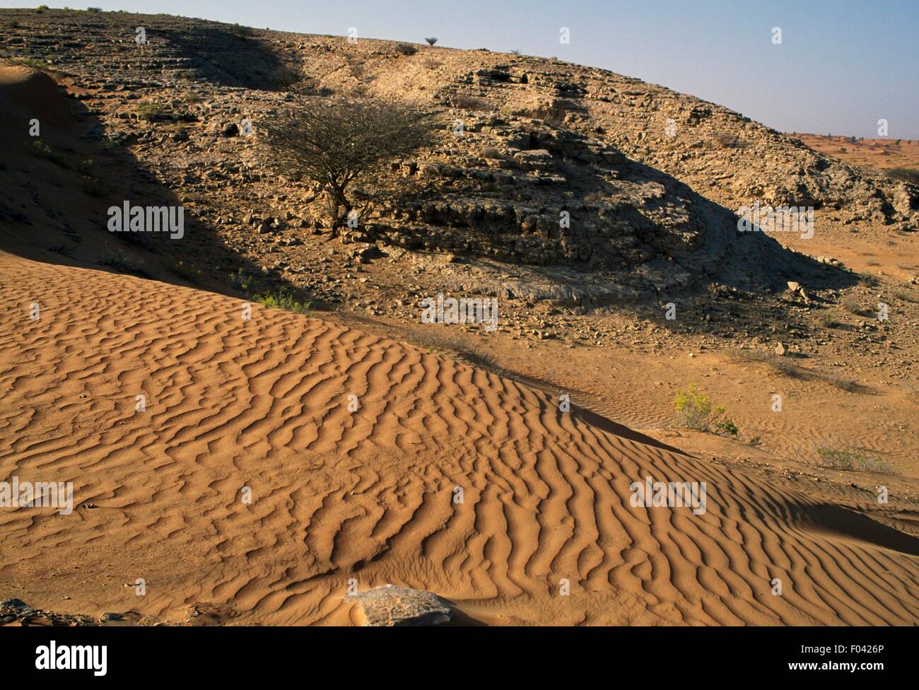 Sand dune and rocky ridge, Arabian Desert, United Arab Emirates Stock ...