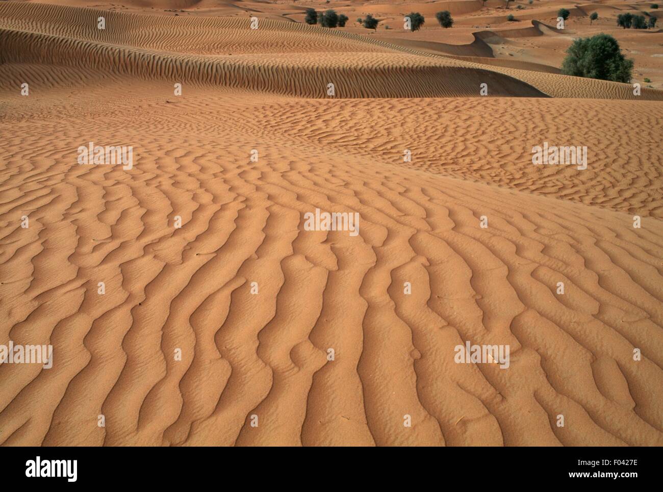 Lines of sand shaped by the wind, Arabian Desert, United Arab Emirates ...