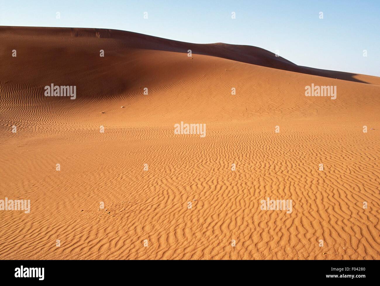 Sand dunes, Arabian Desert, United Arab Emirates Stock Photo - Alamy
