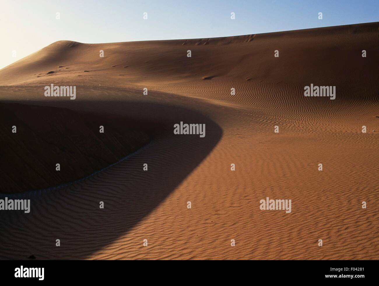 Sand dunes, Arabian Desert, United Arab Emirates Stock Photo - Alamy