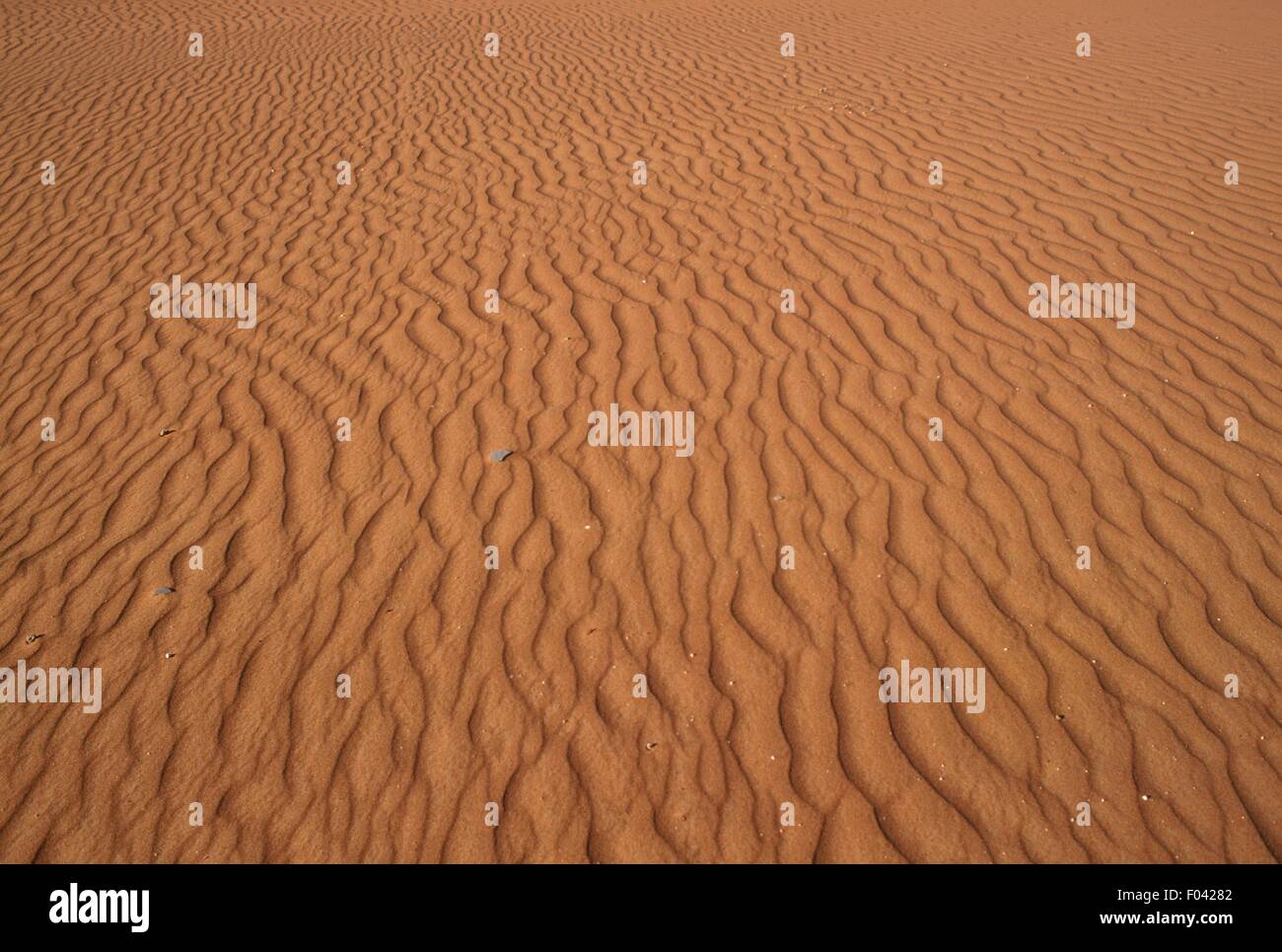 Lines of sand shaped by the wind, Arabian Desert, United Arab Emirates ...