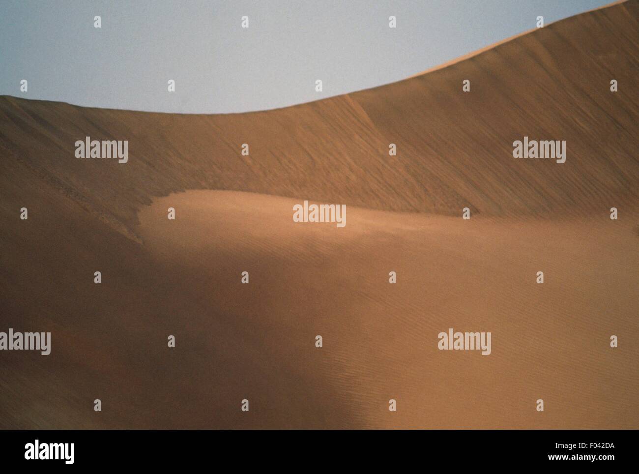 Sand dune, Arabian Desert, Dubai, United Arab Emirates Stock Photo - Alamy